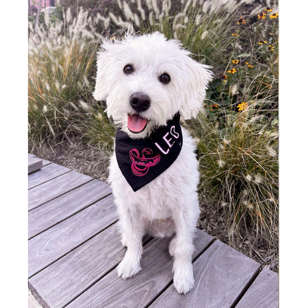 & JULIET – Broadway Merchandise Shop by Creative Goods